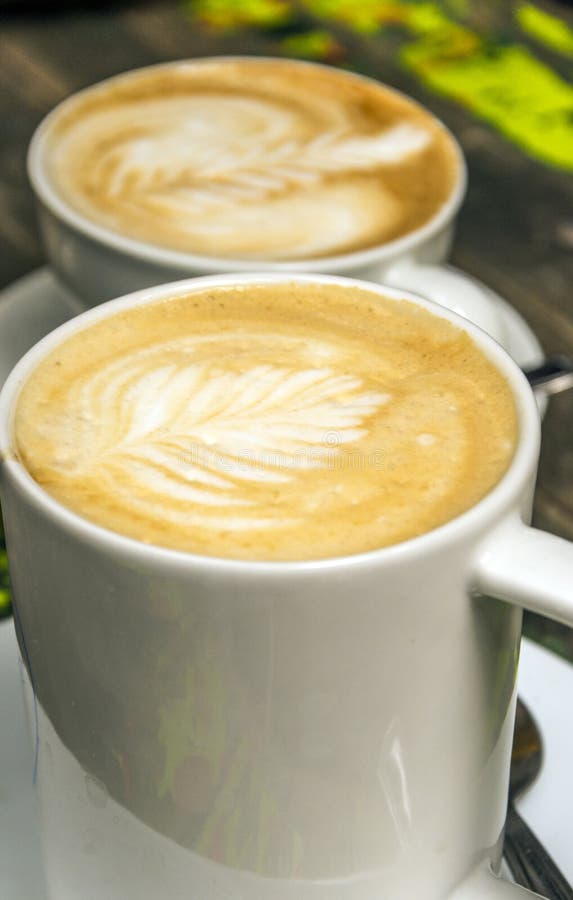 Two Romantic Coffees stock photo. Image of plant, chocolate - 519366