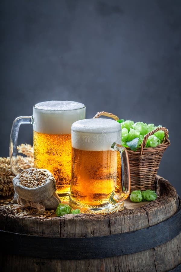 Two Cold Light Beers with Hops on Old Barrel Stock Photo - Image of ...