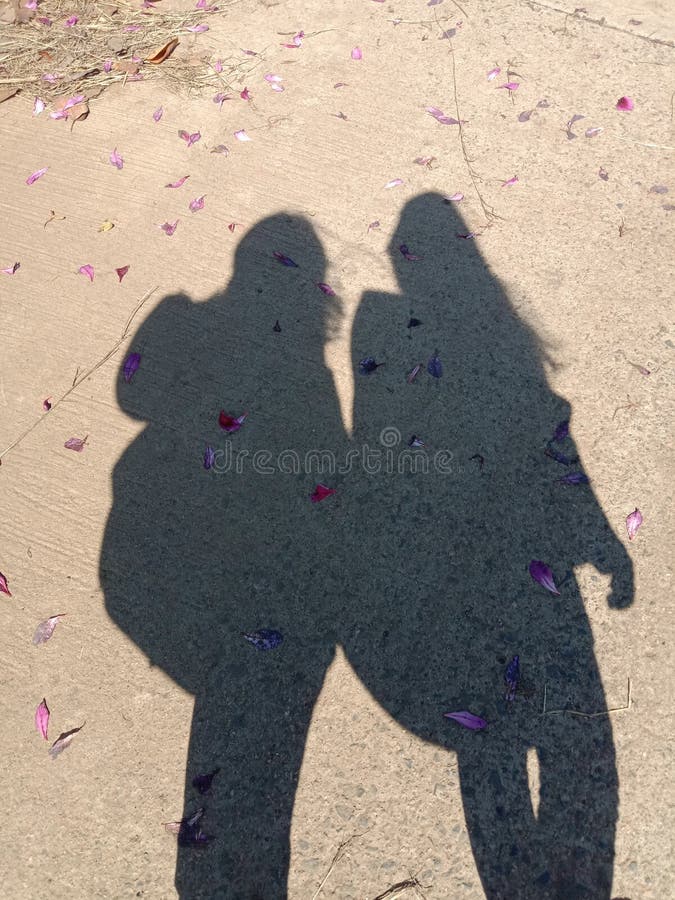 Two College Girl Students Shadow Image at Noon Time on the Road. Stock ...
