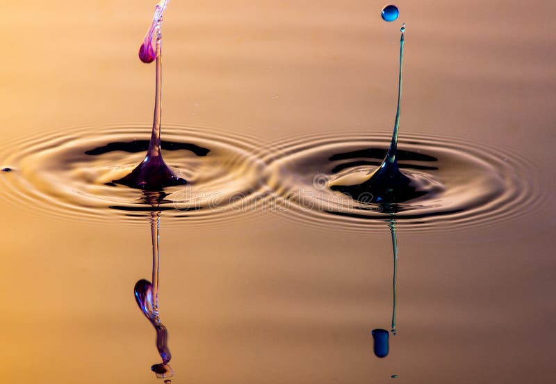 Two Water Splatter and Splash. Stock Photo - Image of clear, alive ...