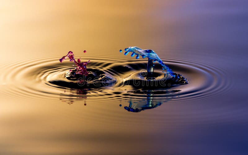 Two Water Splatter and Splash. Stock Image - Image of curl, freshness ...