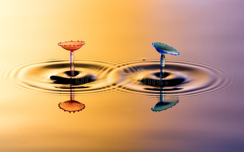 Two Water Splatter and Splash. Stock Photo - Image of closeup, alive ...