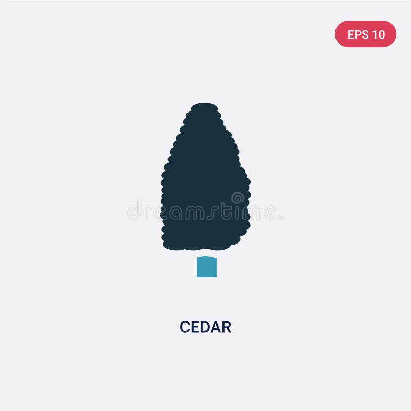 Cedar Vector Icon on White Background. Flat Vector Cedar Icon Symbol ...
