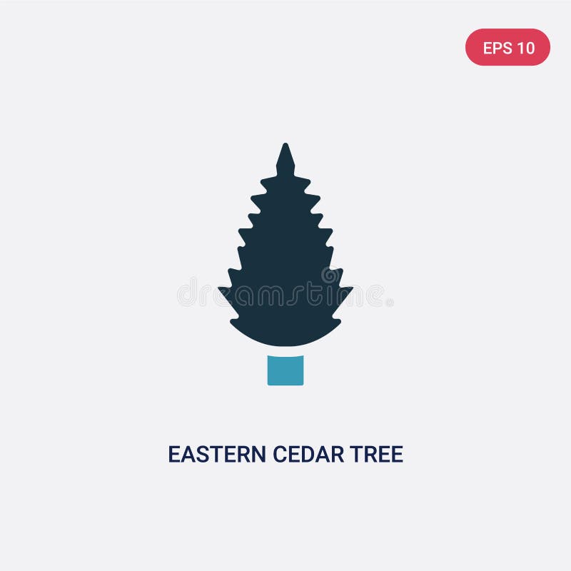 Two Color Eastern Cedar Tree Vector Icon from Nature Concept. Isolated ...