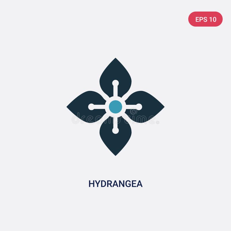 Two Color Hydrangea Vector Icon from Nature Concept. Isolated Blue ...