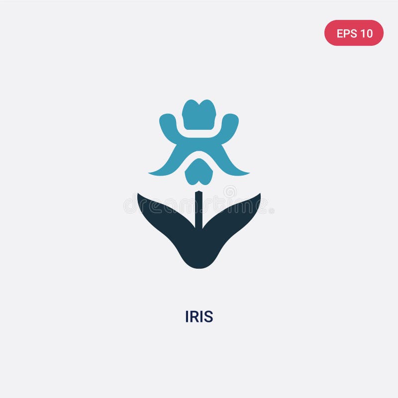 Iris Recognition Vector Stock Illustrations – 773 Iris Recognition ...