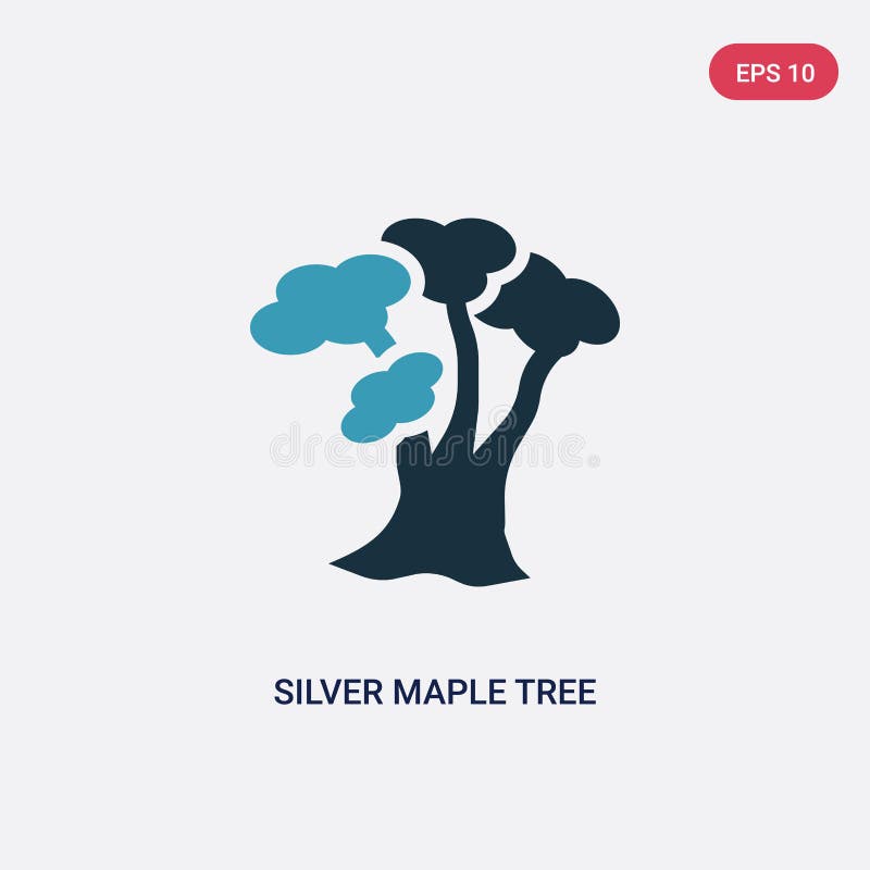 Two Color Silver Maple Tree Vector Icon from Nature Concept. Isolated ...