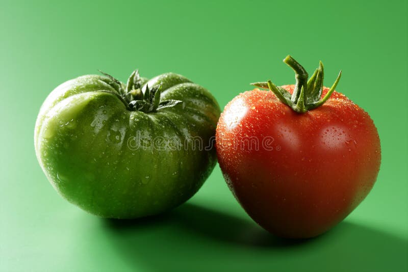 Two Color Tomatoes, Green and Red Variety Stock Photo - Image of ...