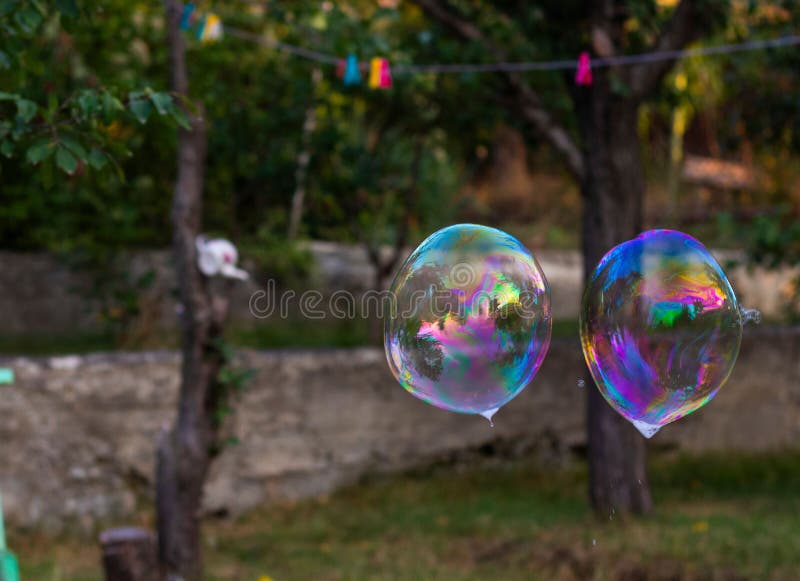 Two Colorful Soap Bubbles Floating in a Garden with Trees and a Blurred ...