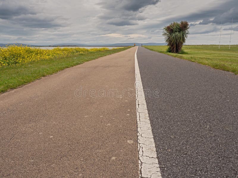 Two Colors Asphalt Path in a Park Separated by a White Lane for Walking ...