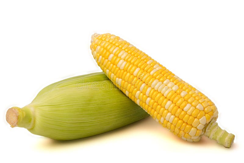 Sweet Corn Vegetables, Fresh Peeled Saw Yellow Corn Kernels, Piled ...