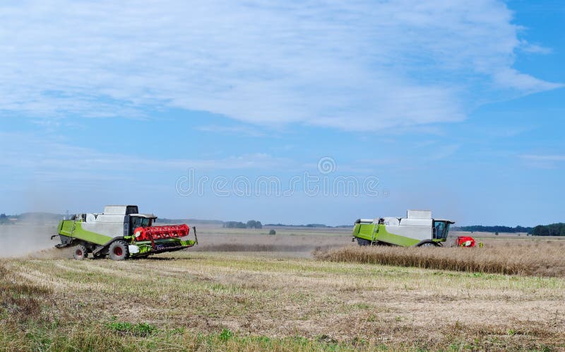 Two combines on the field. stock photo. Image of landscape - 20435364