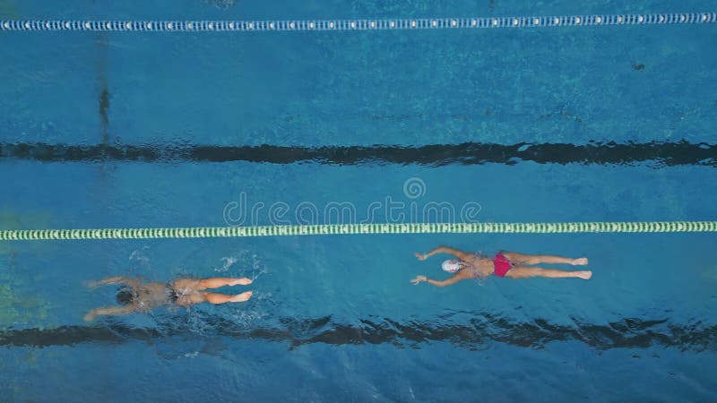 Competitive Swimmers Train Vigorously in an Indoor Pool during a Bright ...