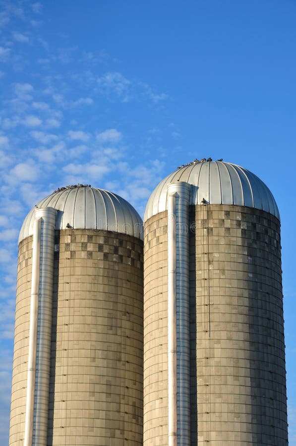 Two Concrete Stave Silos stock photo. Image of silo, farm - 17064372