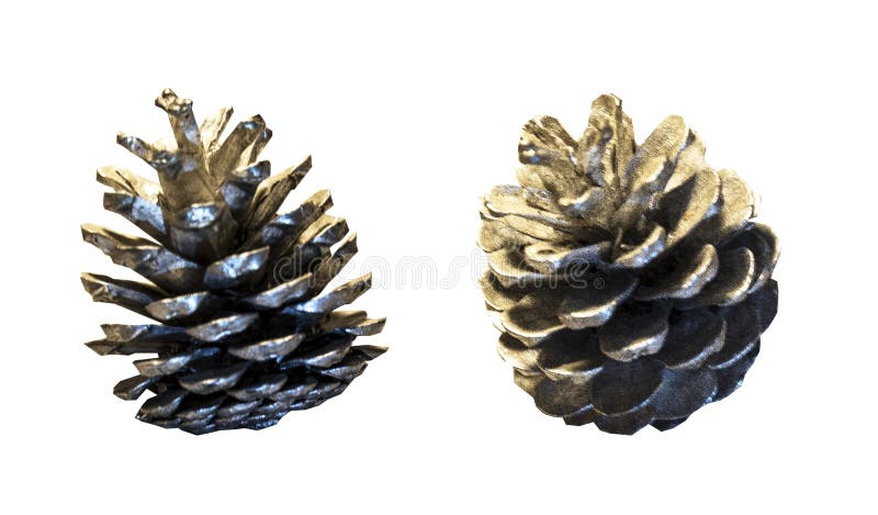 Two Cones Painted Silver Isolated Stock Photo - Image of decoration ...