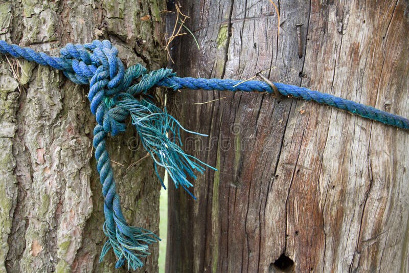 Two Connected Blue Rope Tree Trunks Stock Image - Image of twine ...