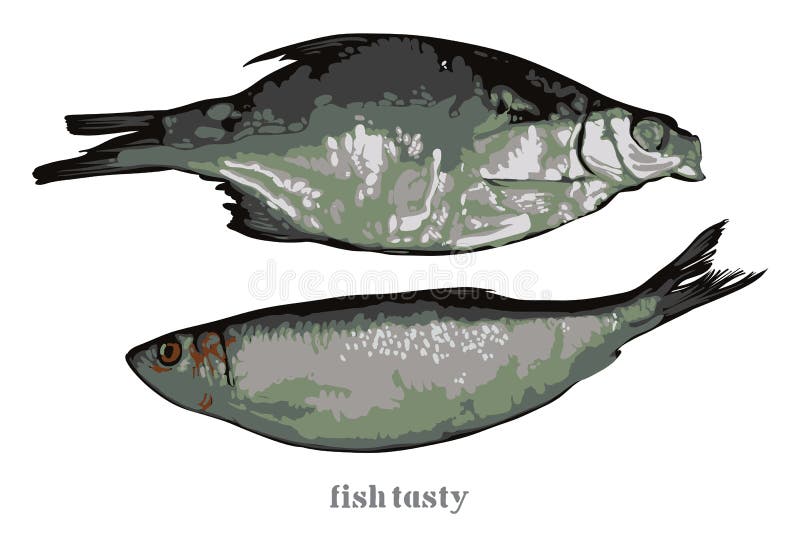 Two cooked fish stock vector. Illustration of fish, gourmet - 69403640