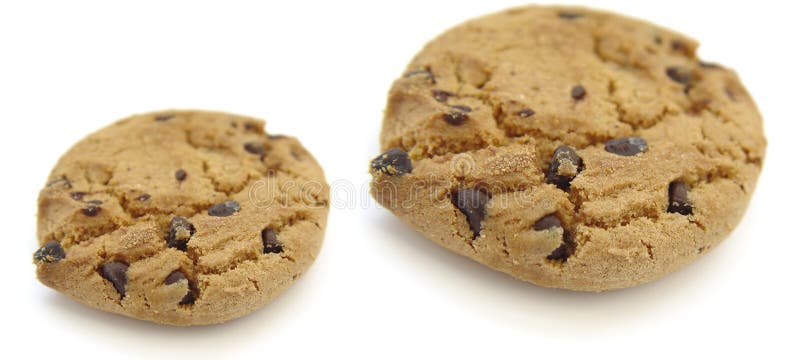 Two Cookies stock image. Image of isolated, exposed, cookies - 310649