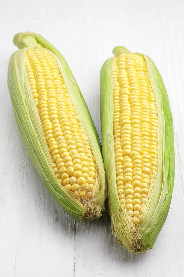 Two corn cob stock image. Image of diet, tasty, fresh - 34020775