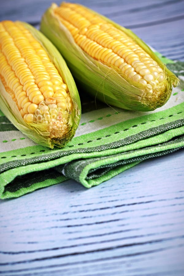 Two corn cobs stock image. Image of sweet, ripe, corn - 43298545
