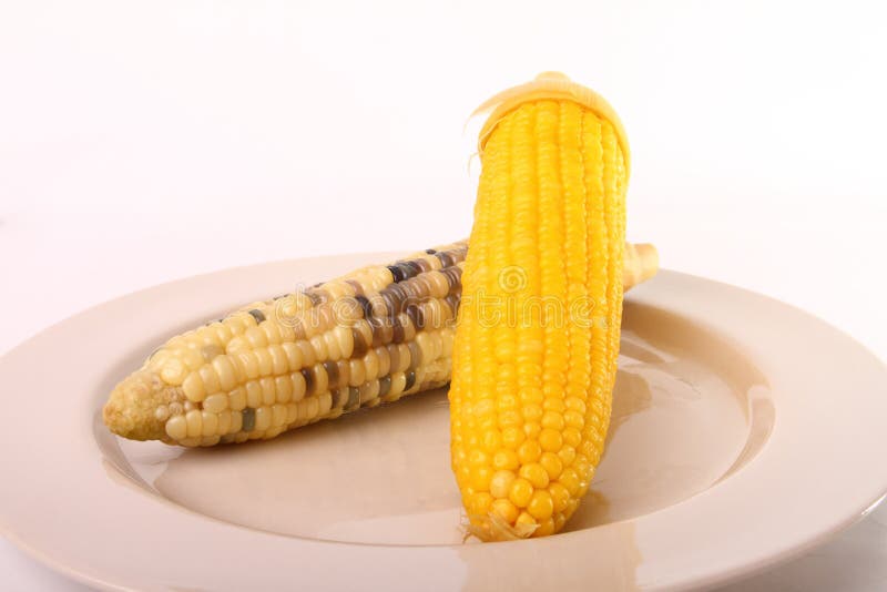 Two corn stock photo. Image of dish, meal, plate, vegetable - 46915574