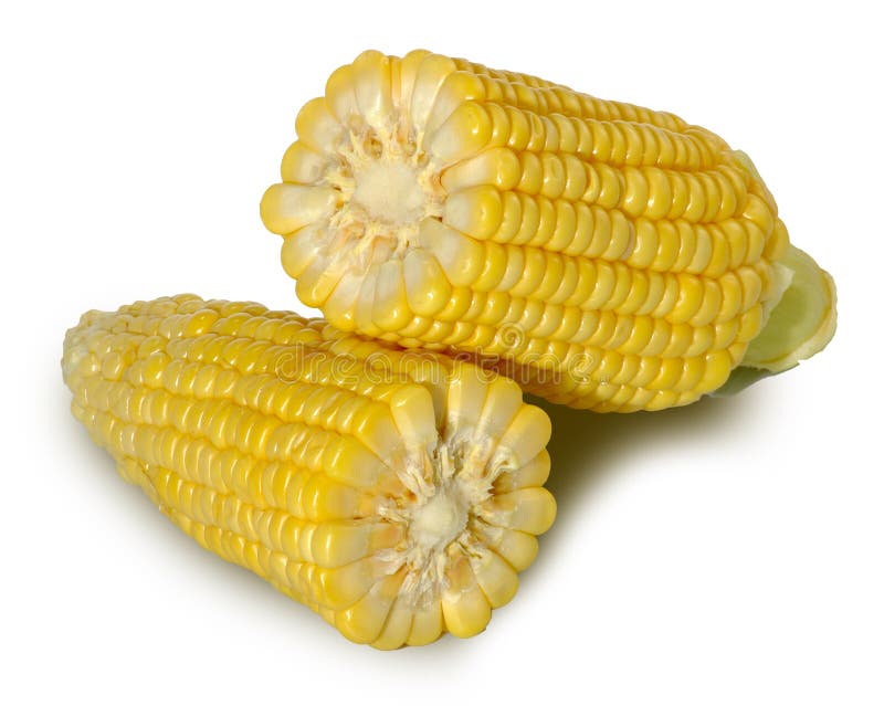Piece of corn cob isolated stock image. Image of ingredient - 191269531