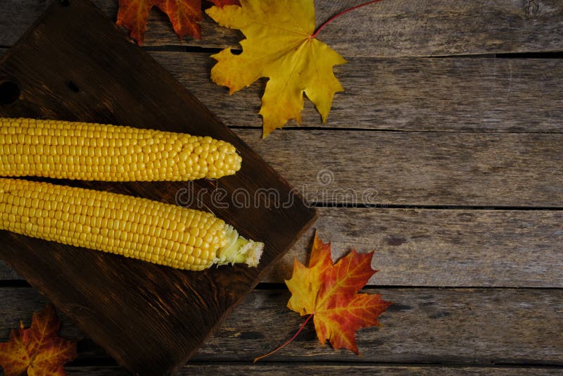Two Corn on Wooden Chopping Board and Autumn Maple Leaves Falling on ...