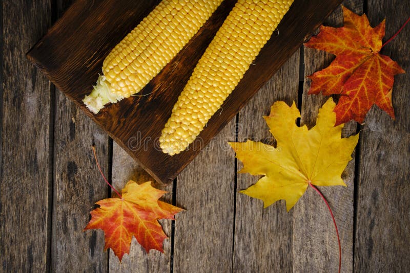 Two Corn on Wooden Chopping Board and Autumn Maple Leaves Falling on ...