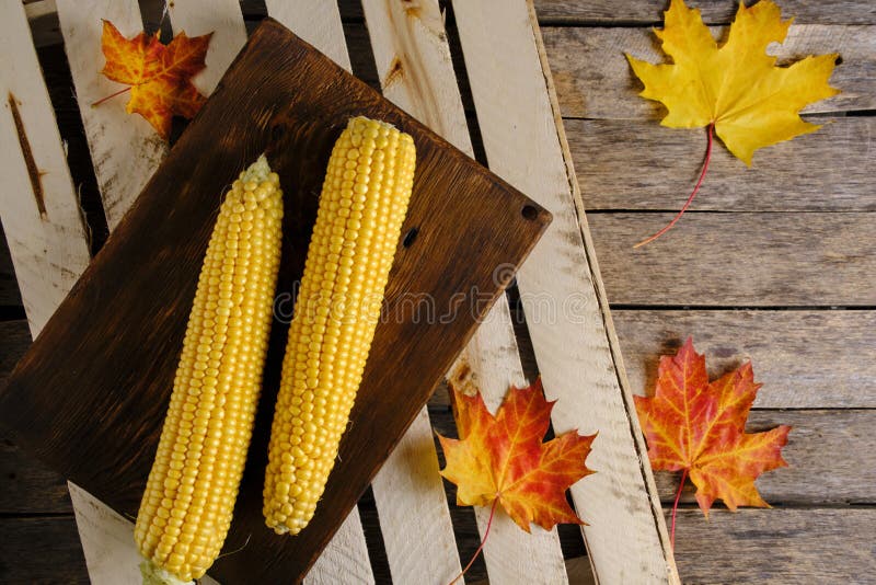 Two Corn on Wooden Chopping Board and Autumn Maple Leaves Falling on ...