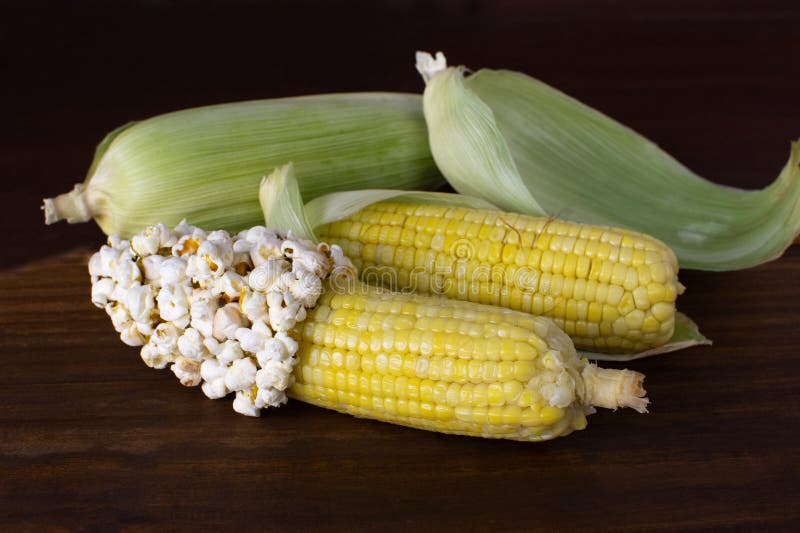 Two Corns with Corn Grains and Popcorn on a Table Stock Photo - Image ...