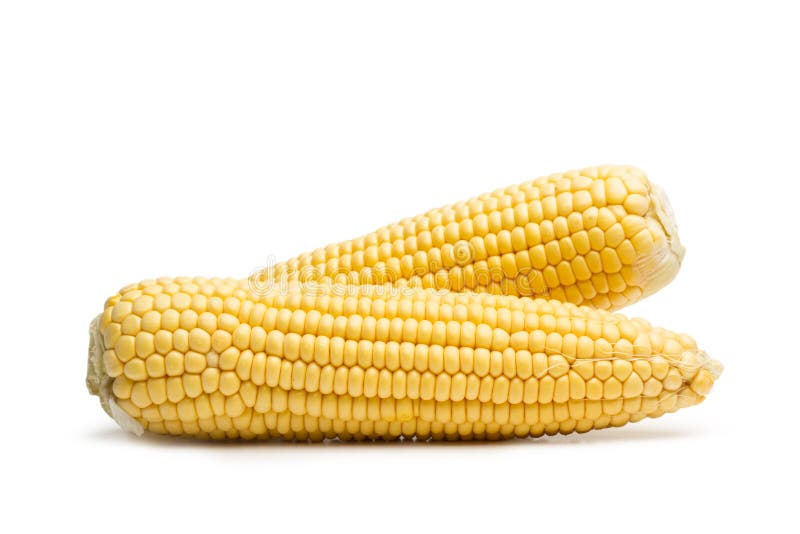 Two Corns in a Cut Out View Stock Photo - Image of ingredient ...