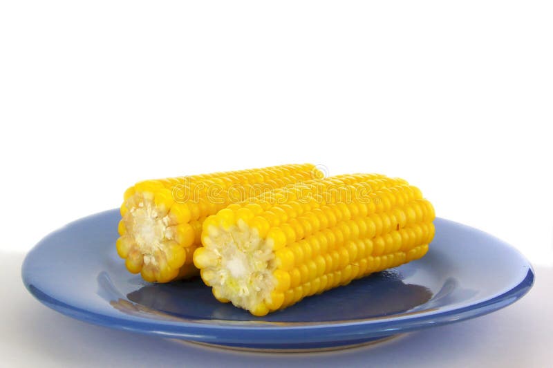 Two corns on plate stock photo. Image of maize, still - 3079636