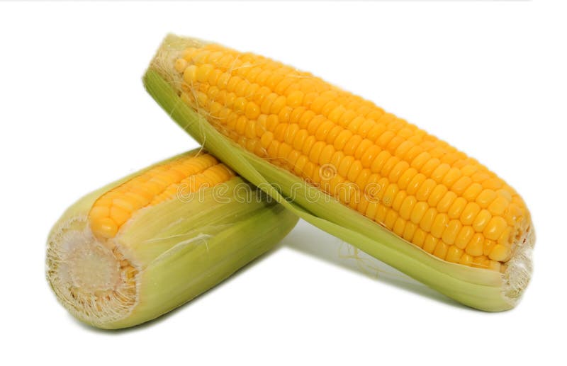 Two Corns on White Background Stock Photo - Image of studio, nature ...