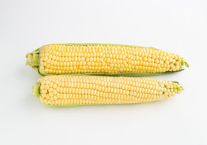 183 Two Corns White Background Stock Photos - Free & Royalty-Free Stock ...