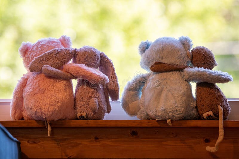 Couples of Stuffed Hugging Animals Stock Photo - Image of together ...