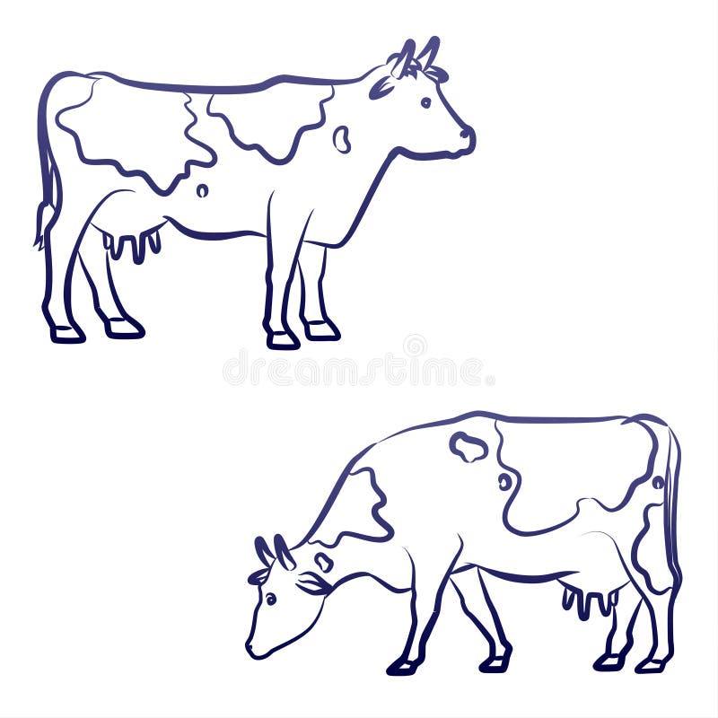 Two Cows Stock Illustrations – 319 Two Cows Stock Illustrations ...