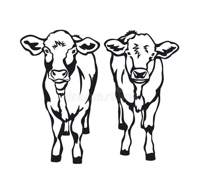 Two Cows Clipart