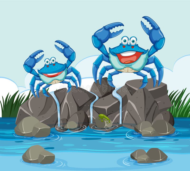 Two crabs on rocks stock vector. Illustration of cooperation - 328598121