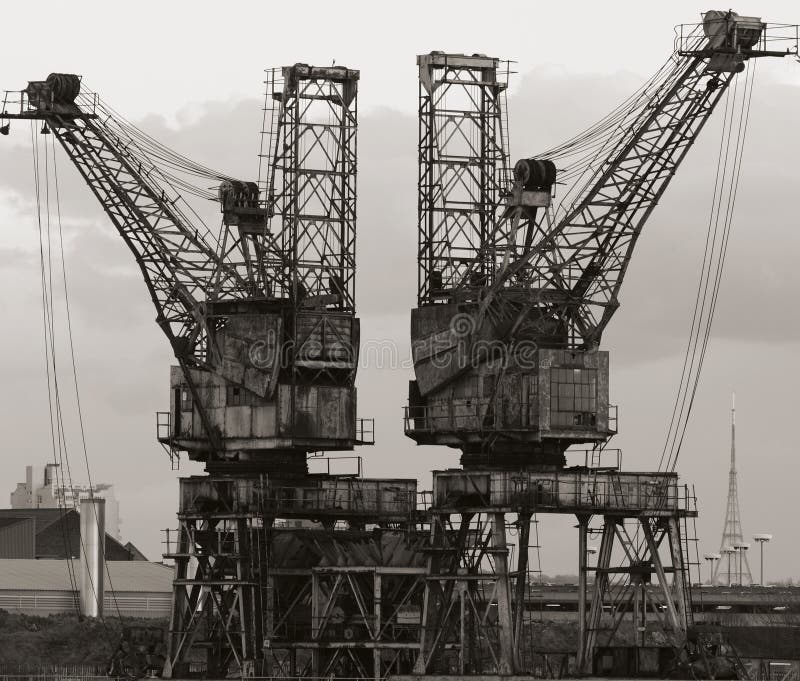 Two Cranes stock photo. Image of toned, river, monochrome - 5070494