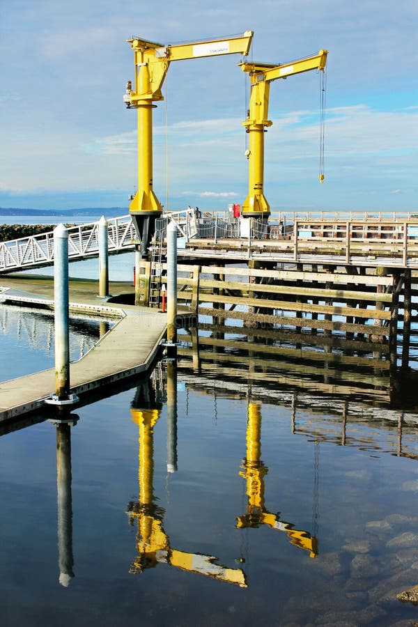 Two Cranes Two Ways stock photo. Image of pairs, reflections - 73612304