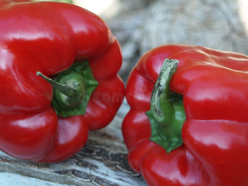 Two crisp red bell pepper stock photo. Image of vegetables - 76666910