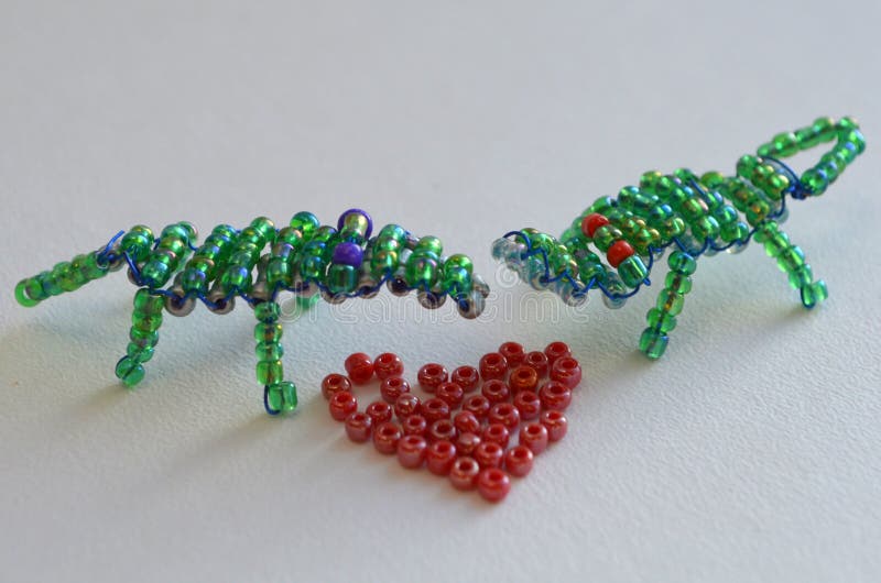 Two crocodile with beads stock photo. Image of valentine - 48374124