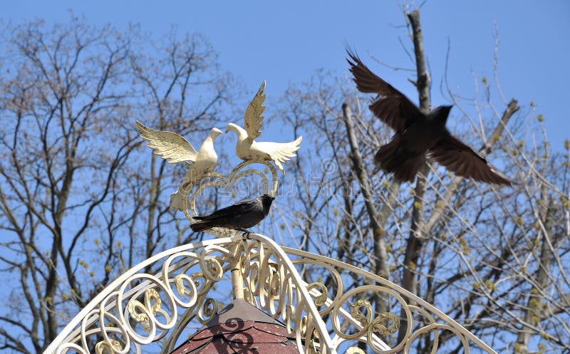 Two Crows Near Couple of Decorative Doves Stock Image - Image of ...