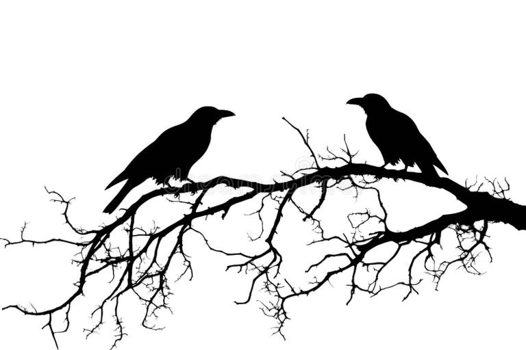 Two Crows Perching on Bare Tree Branch Silhouette Stock Illustration ...
