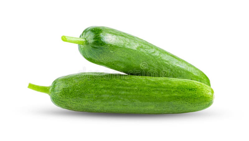 Two Cucumbers on Isolated White Stock Photo - Image of salad, green ...