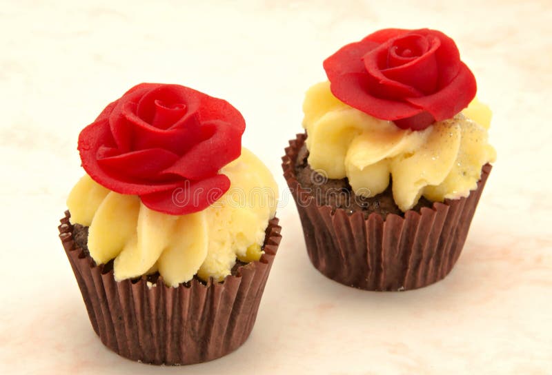 Two cupcakes stock image. Image of spring, cakes, baking - 29246475