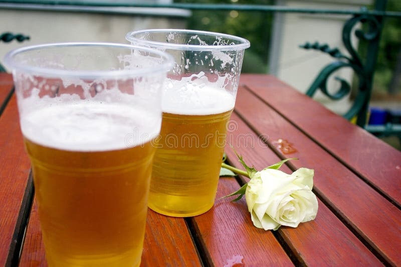 Two cups of beer stock photo. Image of college, delicious - 91697484