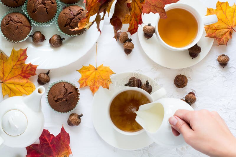 Two Cups of English Tea with Milk Stock Image - Image of food, leaves ...