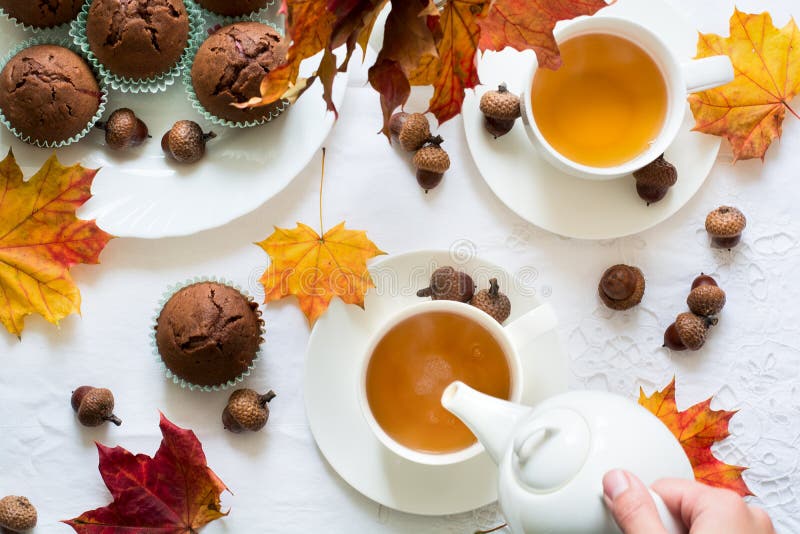 Two Cups of English Tea with Milk Stock Photo - Image of acorns, drink ...
