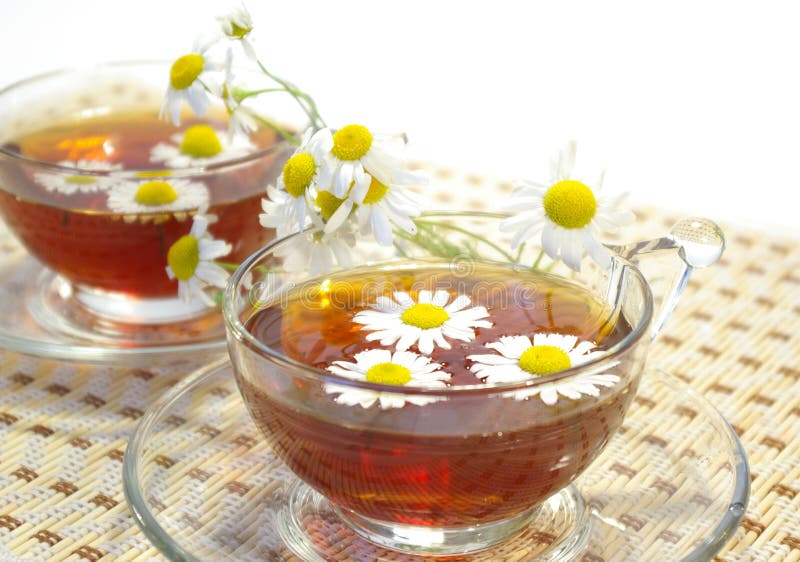 Two cups of herbal tea stock photo. Image of grass, chamomiles - 5644702